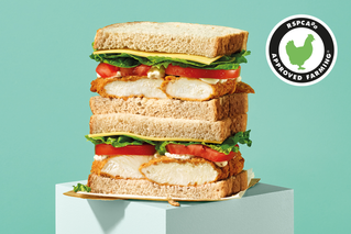 Sandwiches & Wraps | 7-Eleven Australia